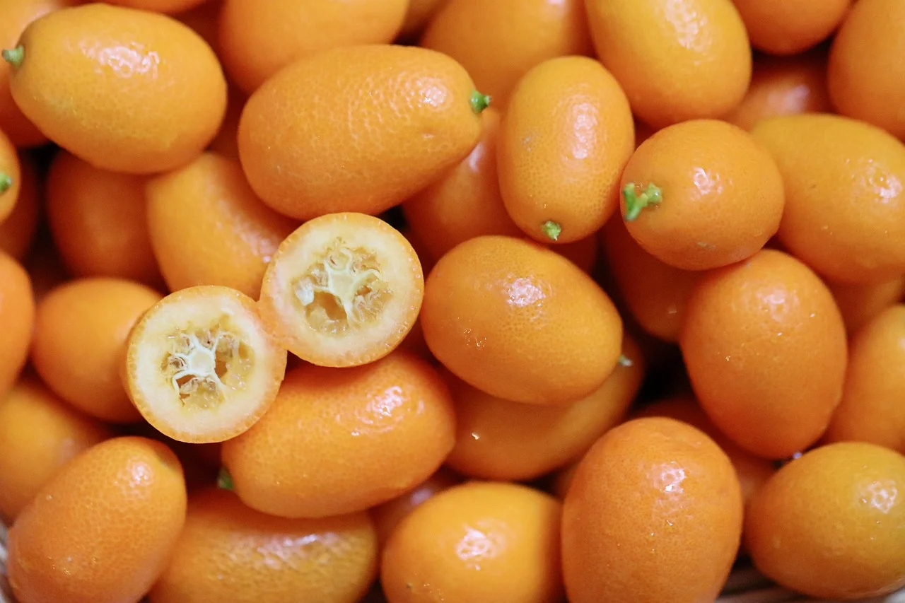 Spotlight on Citrus: Winter Chicory Salad with Kumquats and Date ...